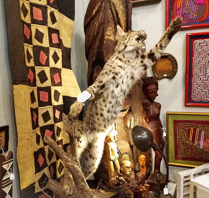 This spotted feline seems to be reaching for something just out of grasp—perhaps your wallet? Taxidermy meets performance art.