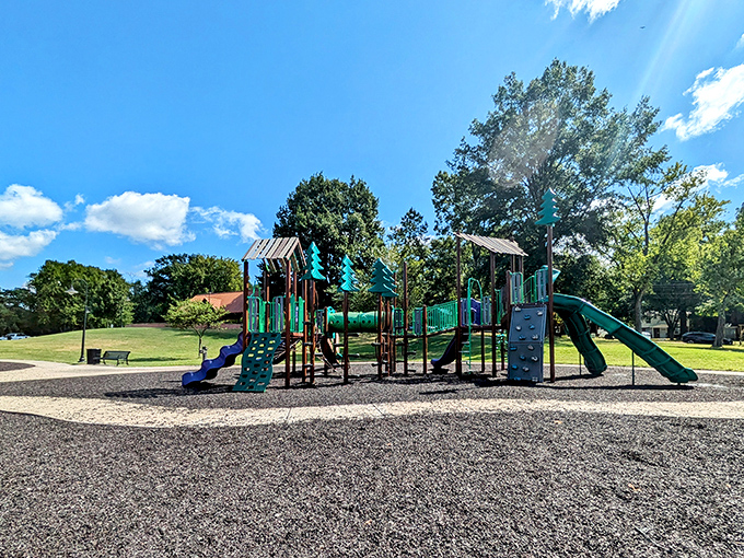 Capaha Park's playground waits for laughter under Missouri's big sky, where generations of Cape Girardeau families have created memories in the sunshine.