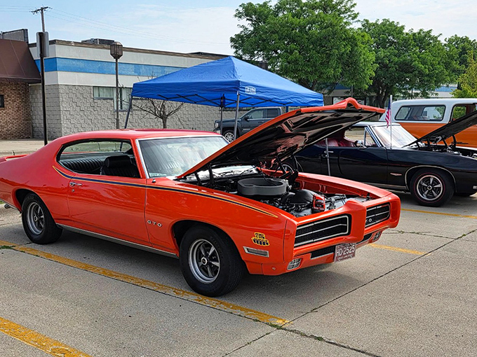 Classic cars line up like candy in a vintage store display, each one a rolling time capsule of American automotive dreams.