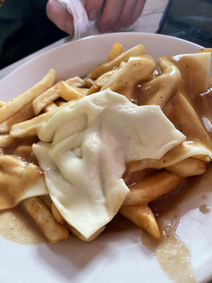 Poutine's American cousin—french fries draped in melted cheese and smothered in gravy, a dish that understands the meaning of "more is more."
