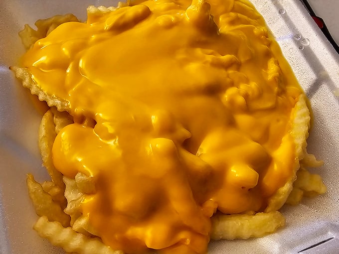 These cheese-smothered fries aren't trying to be fancy &ndash; they're just trying to make you happy, and they're succeeding spectacularly.