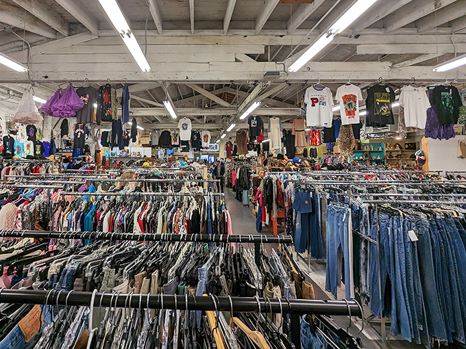 Denim as far as the eye can see&mdash;a blue jean jungle where your next favorite pair of pants is hiding, already broken in to perfection.