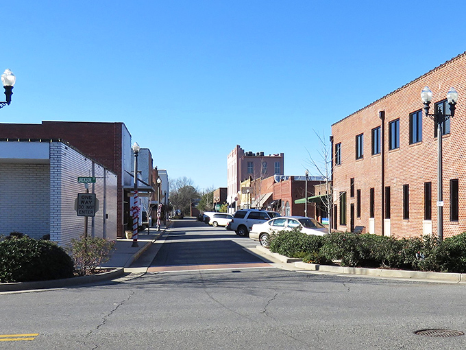 Vidalia's downtown streets offer that increasingly rare commodity in America: walkable small-town charm where businesses still face the sidewalk rather than a parking lot.