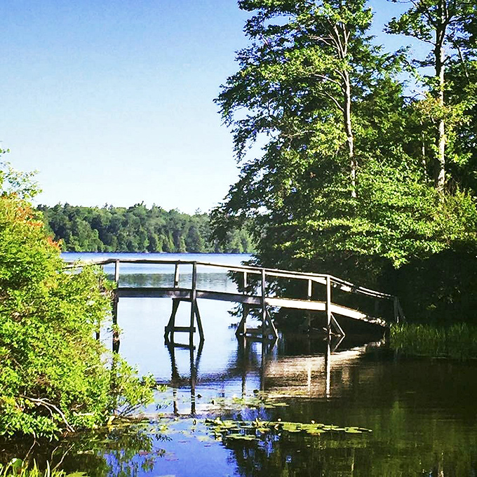 This simple footbridge over Eagles Mere Lake offers more serenity per square foot than most luxury spa retreats &ndash; nature's therapy session without the new age soundtrack.
