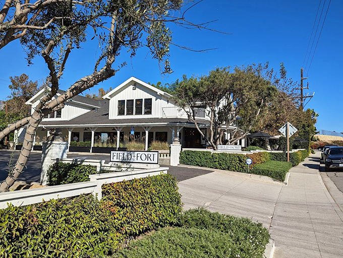 Field + Fort's pristine white facade and manicured hedges showcase California coastal style that makes you rethink every design choice in your own home.v