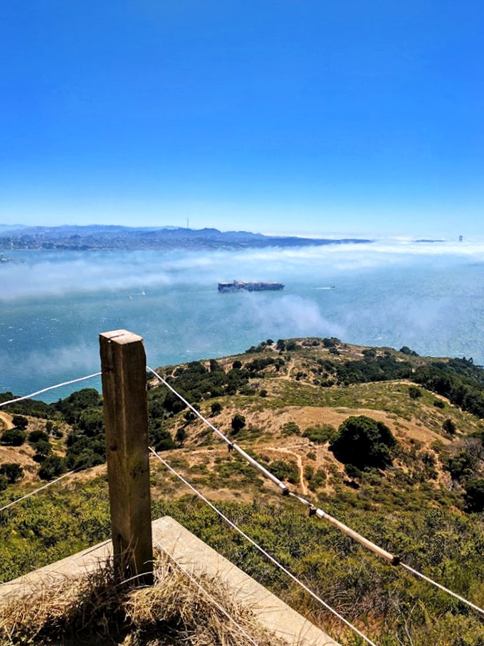 Angel Island's elevation rewards hikers with this heavenly spectacle&mdash;where fog transforms San Francisco Bay into a cotton candy dreamscape.
