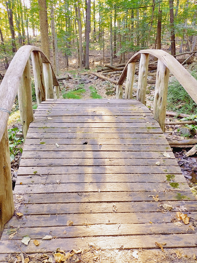 Sunlight dapples this wooden footbridge like nature's spotlight, illuminating a path that connects different areas of this remarkable outdoor gallery.