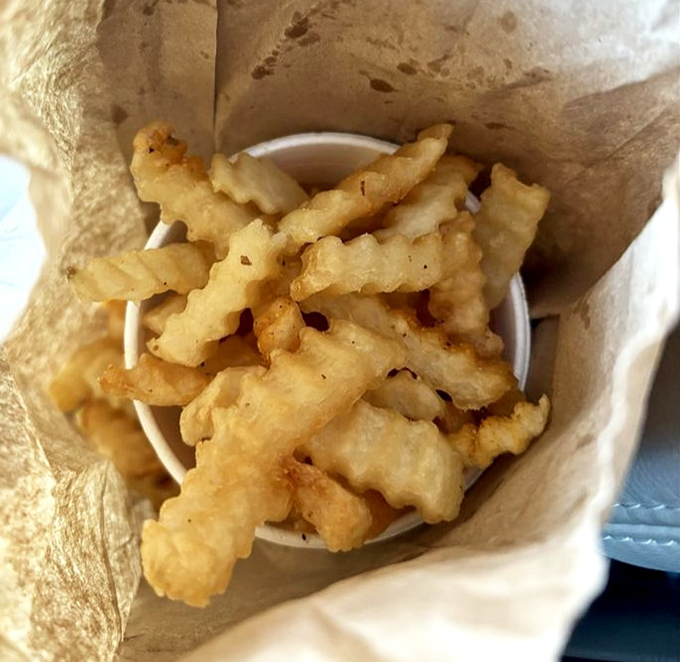 Crinkle-cut fries nestled in their paper bag&mdash;the perfect supporting actor to the sandwich star. Crispy, golden, and never trying to steal the scene.