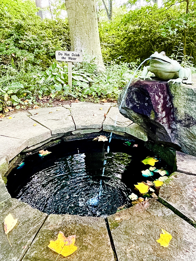 A whimsical frog fountain where even amphibians get to live in better style than most humans.