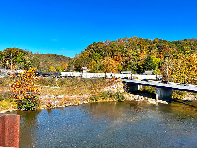Even the highway bridge pauses to admire the view. Autumn in Ohiopyle transforms ordinary infrastructure into frames for extraordinary beauty.
