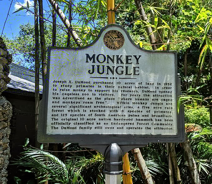 This historical marker reveals Monkey Jungle's fascinating origins, proving that sometimes the best attractions start with unusual dreams. 