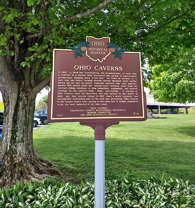 History stands tall beside ancient roots. This marker reminds us that even in our fast-paced world, some wonders take millennia to create.