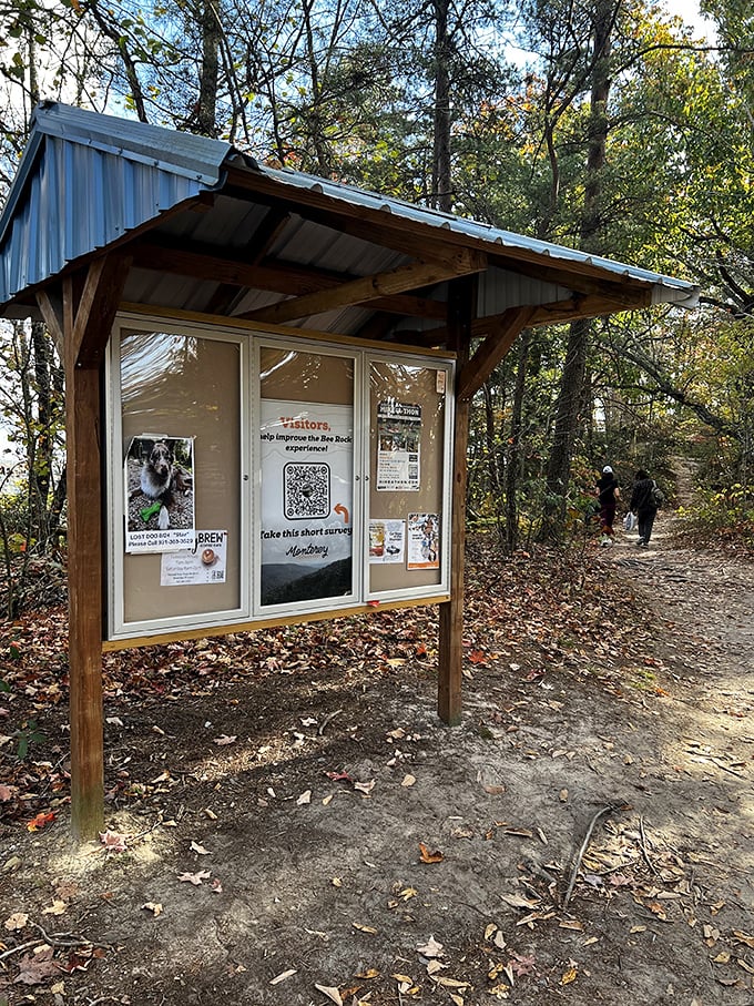 The modern trailhead's information board—where adventure meets responsibility. A final checkpoint before disconnecting from the digital world.