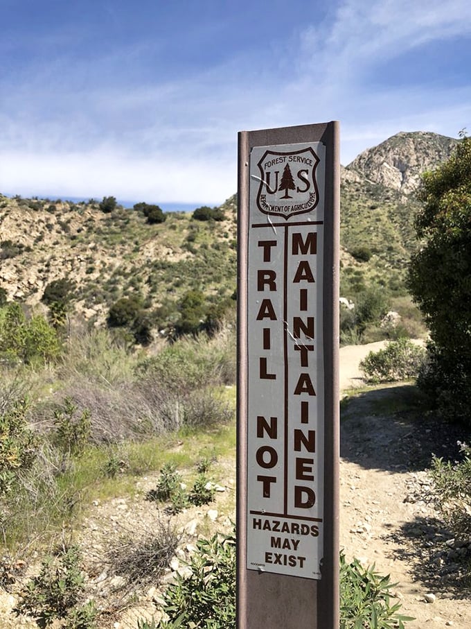 This unassuming sign marks the boundary between casual stroll and genuine adventure. Hazards may exist, indeed!