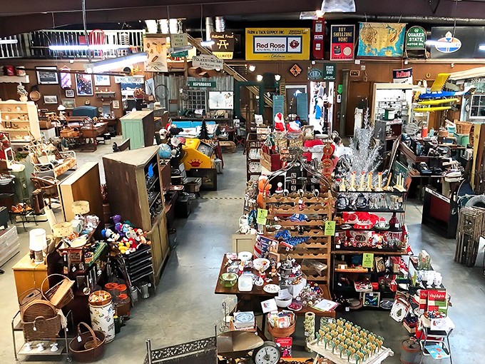 From this bird's-eye view, the organized chaos below resembles a museum curated by someone with delightful attention deficit disorder and impeccable taste.