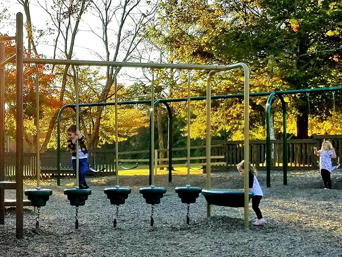 Autumn transforms this playground into a golden wonderland where childhood laughter mingles with the rustle of falling leaves.