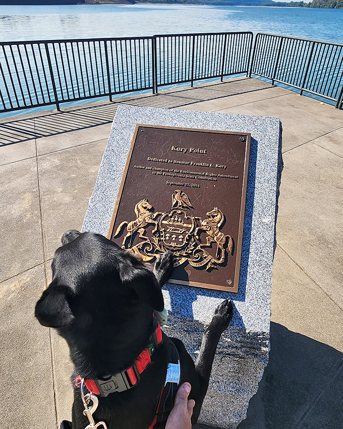 Kury Point offers panoramic views worth every step of the climb. Even this pup seems impressed by the plaque honoring Pennsylvania's environmental legacy.