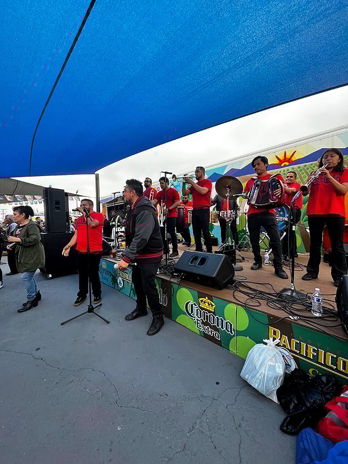 Live music adds the perfect soundtrack to your shopping adventure. These talented musicians turn an ordinary market day into a full-blown fiesta.