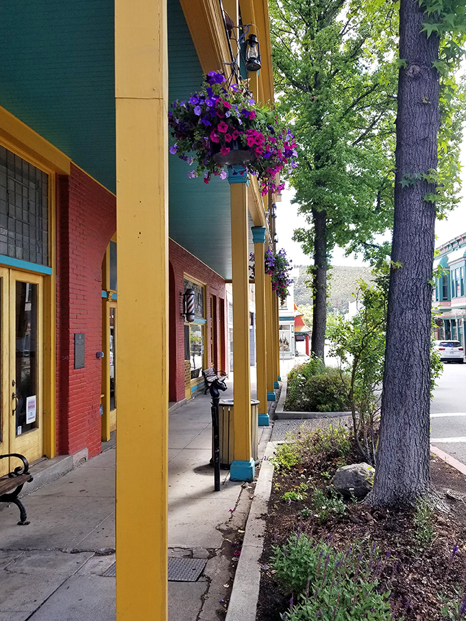 Hanging flower baskets and colorful storefronts bring vibrant life to historic buildings. Small towns understand that beauty is never a waste of time.