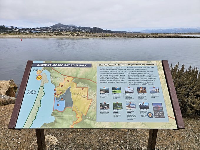This interpretive sign offers the roadmap to adventure. The best journeys begin with a moment of orientation before discovering what lies beyond the marked trails.