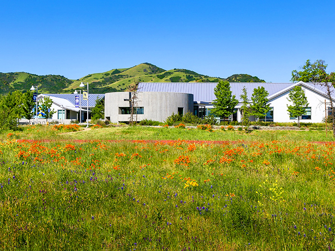 Wildflowers dance in the foreground while modern architecture makes a bold statement&mdash;proof that Lakeport balances natural beauty with forward thinking.