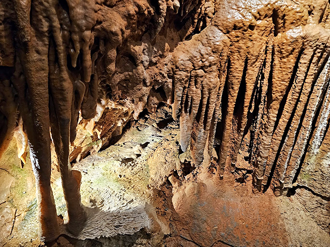 Walking through these stone corridors feels like exploring the ribcage of some ancient, sleeping earth giant.