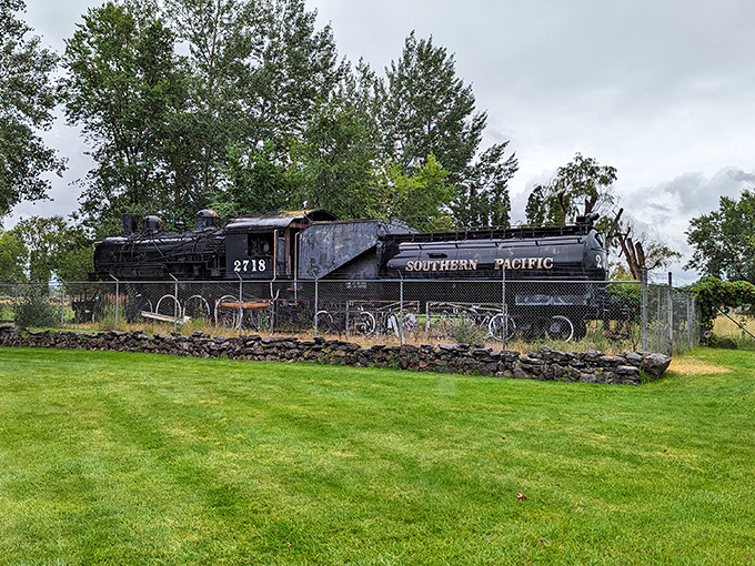 This preserved Southern Pacific locomotive reminds visitors that Alturas once thrived as a railroad town, connecting California's forgotten corner to the world.