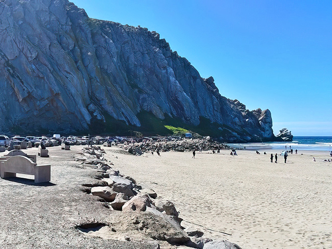 Morro Rock's dramatic cliffs create the perfect backdrop for beachcombing and serious wave-watching sessions.