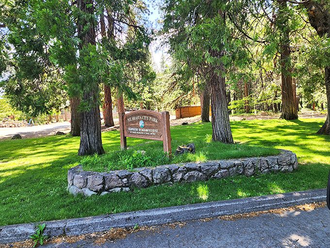 Mount Shasta City Park welcomes visitors with towering trees and dappled sunlight. Home to the headwaters of the Sacramento River, where California's water story begins.