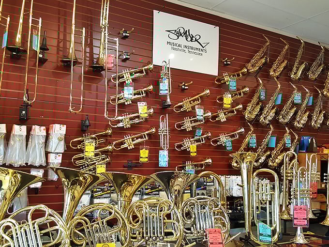 A brass and woodwind wonderland where musical dreams await their next performance&mdash;from high school band practice to jazz club comeback.