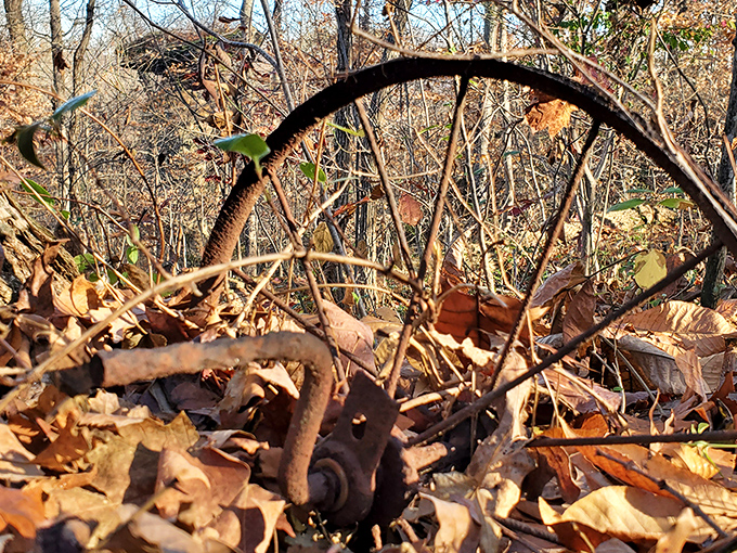 Mysterious artifacts like this old wheel remind us that human history is just yesterday's news.