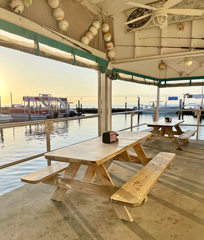 Sunset dining with your toes practically in the water. Some restaurants have a view; this one has immersion.