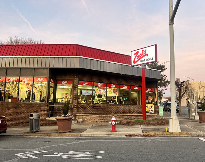 Evening light transforms this humble hot dog haven into a glowing testament to the enduring power of simple, satisfying food.