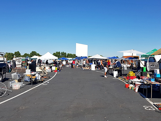 The calm between vendor storms. These market avenues become bustling thoroughfares when the serious shoppers arrive, armed with cash and determination.