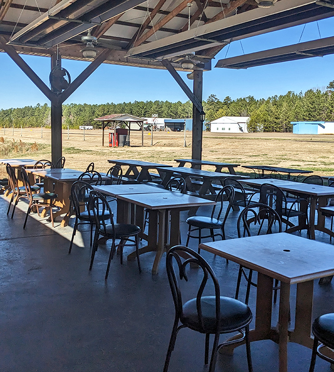 The outdoor seating area offers views of the airfield, where the only thing more impressive than watching planes land is the plate in front of you.