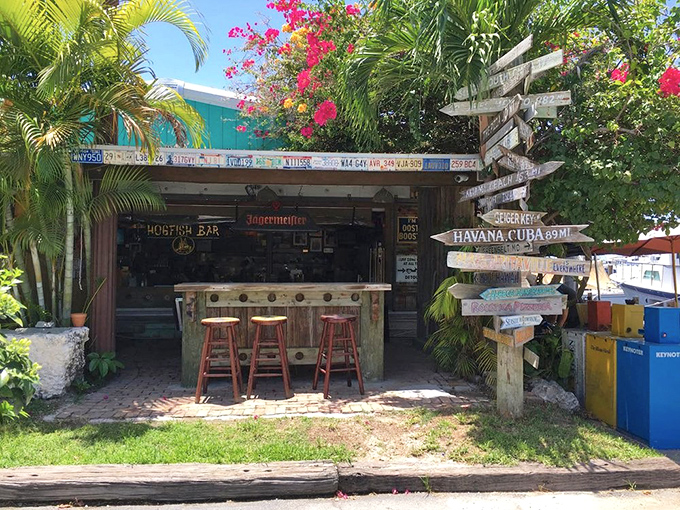 Simple outdoor seating that proves the best restaurants don't need fancy furniture when they've got soul and spectacular food.