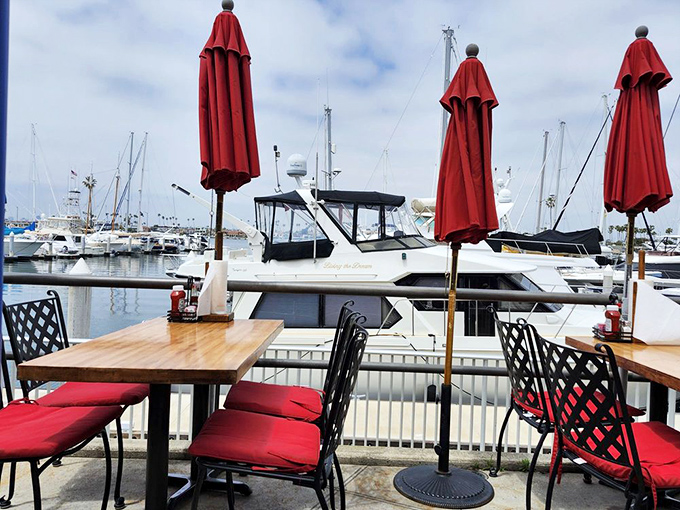 Waterfront dining that reminds you why people pay premium prices for coastal real estate &ndash; boats, breeze, and beautiful seafood all in one view.