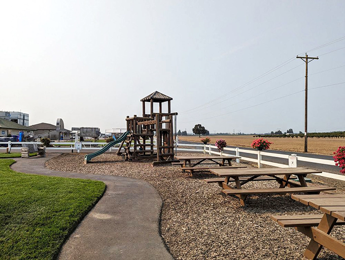 Family-friendly outdoor space with a playground&mdash;because kids need somewhere to burn off pie energy while adults contemplate their next flavor conquest.