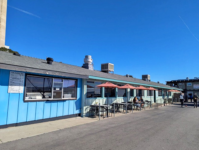 California coastal dining at its most authentic. Dockside's outdoor seating under bright blue skies lets you soak up sunshine while waiting for seafood treasures.