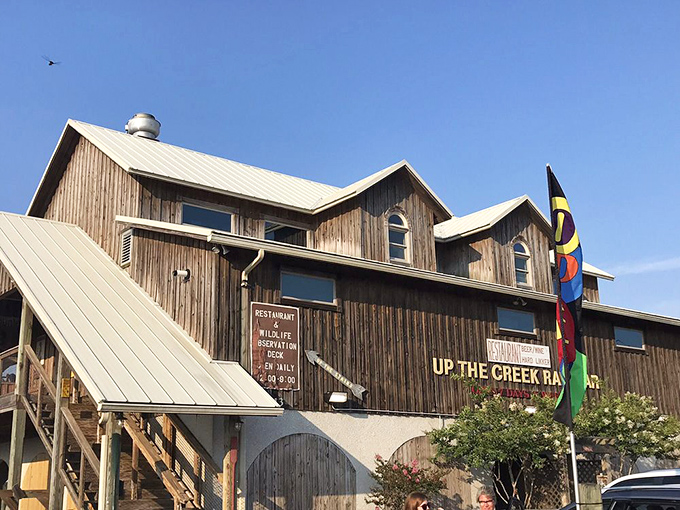 The rustic exterior might not win architectural awards, but it houses seafood experiences worth driving hours to enjoy.