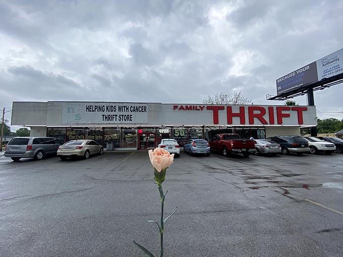Even from the outside, Family Thrift promises adventure. That single rose in the foreground is nature's way of giving this bargain palace its well-deserved standing ovation.