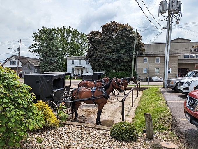 Where modern meets traditional &ndash; Amish buggies parked alongside cars. Two worlds sharing a love for good food.