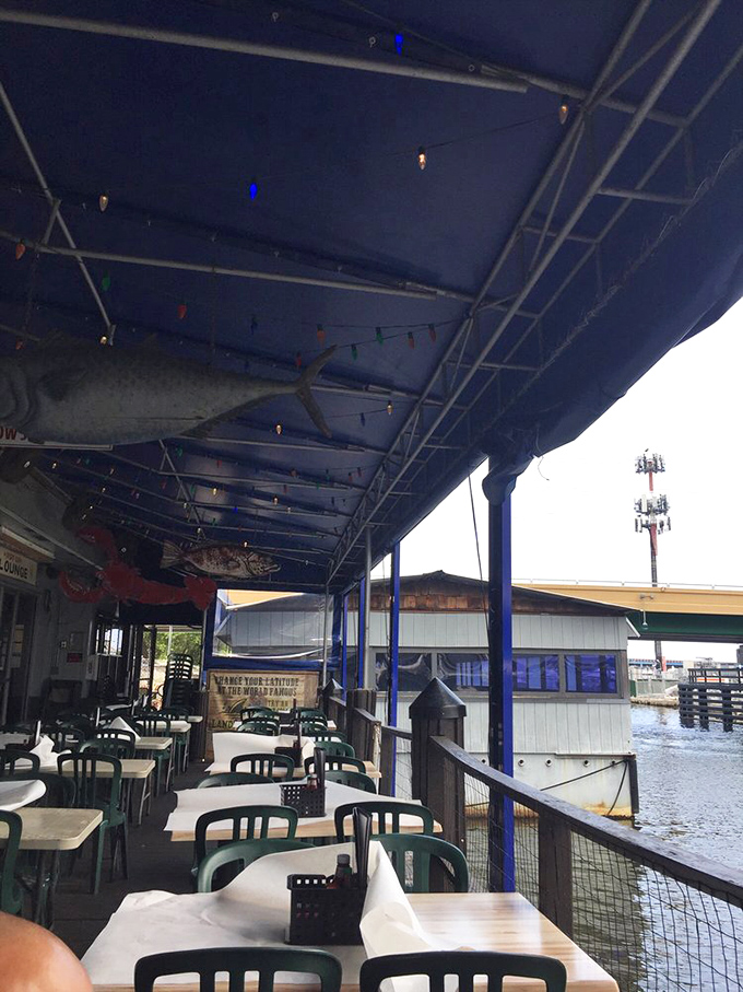 Waterside dining where the view competes with the food for your attention. Those hanging fish decorations aren't just decor – they're foreshadowing.
