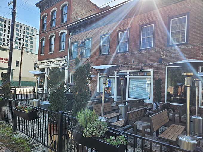 When the weather cooperates, Lulu's outdoor seating becomes Richmond's most coveted real estate. Sunglasses and appetite required.