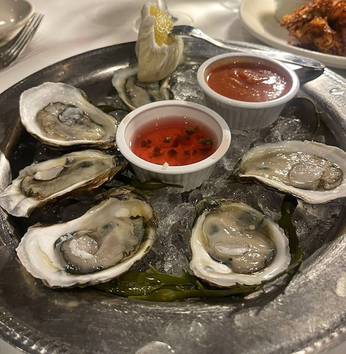 Oysters glistening like treasures from Neptune's personal collection, just waiting to slide down your throat with a whisper of the sea.