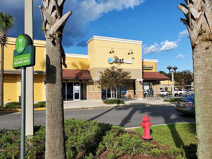 Even strip malls in Ocala maintain Florida's tropical vibe, where running errands feels less like a chore and more like a palm-lined adventure. 