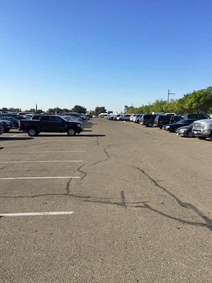 The parking lot &ndash; first challenge of the day. Your strategic parking choice determines how many treasures you can carry home.