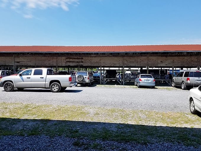 The covered shopping area offers welcome shade for both vehicles and shoppers. Georgia summers demand nothing less than this practical oasis.