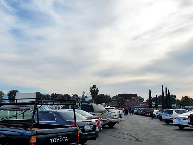 The battlefield of commerce as seen from the parking lot. Veterans know to arrive early, wear comfortable shoes, and bring a vehicle with cargo space.