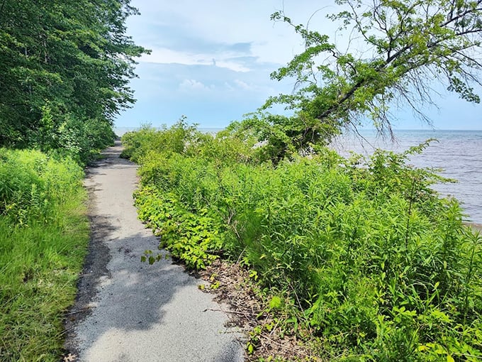 This unassuming path leads to Lake Erie's embrace&mdash;proof that sometimes the simplest routes deliver the greatest rewards.